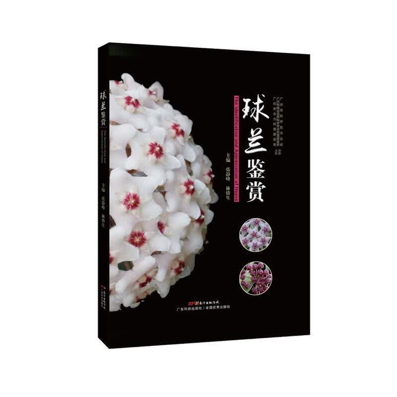 球兰鉴赏 张静峰