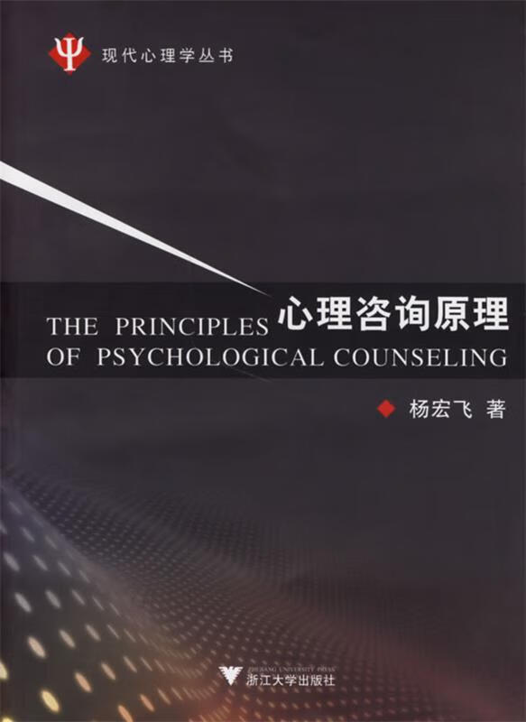 心理咨询原理 杨宏飞 著