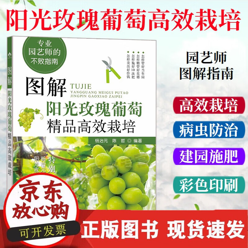 图解阳光玫瑰葡萄精品高效栽培 杨治元 葡萄种植栽培养护技术葡萄种植施肥种植葡萄病虫害防治彩图版阳光玫