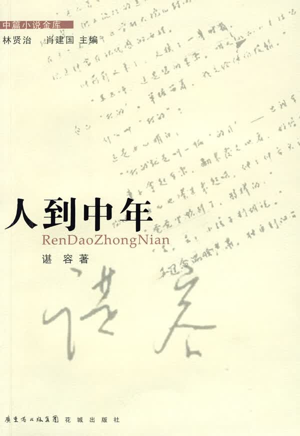 人到中年 谌容 著