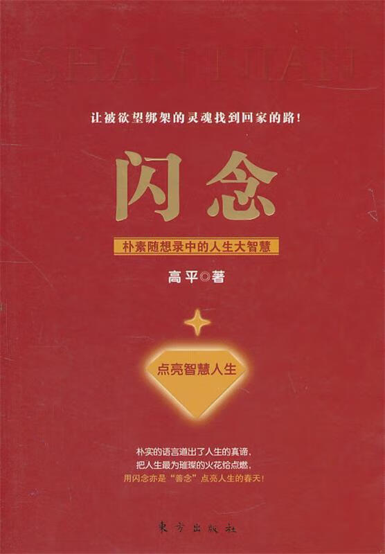 闪念 高平 著【书】