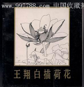 王翔白描荷花 王翔