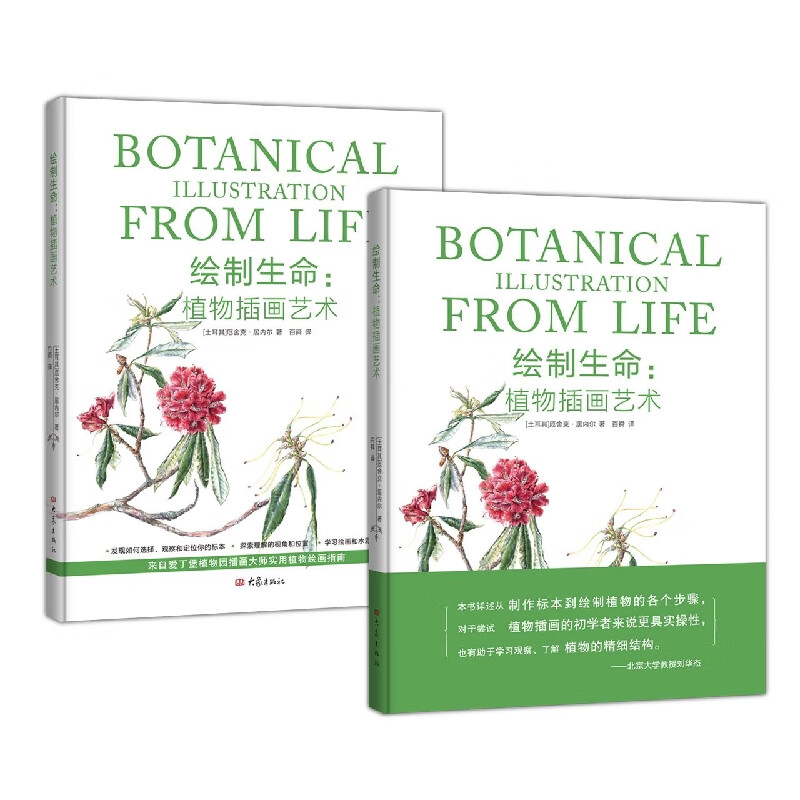 绘制生命：植物插画艺术