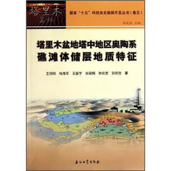 塔里木盆地塔中地区奥陶系礁滩体储层地质特征 王招明等 9787502176792