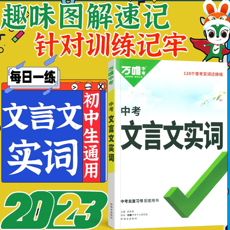 2024万唯中考语文现代文课外初中文言文名著阅读训练专项初一二三总复习七八九年级万维 文言文实词讲练