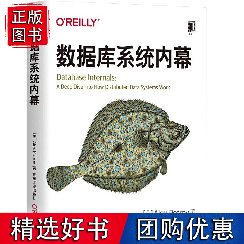 数据库系统内幕