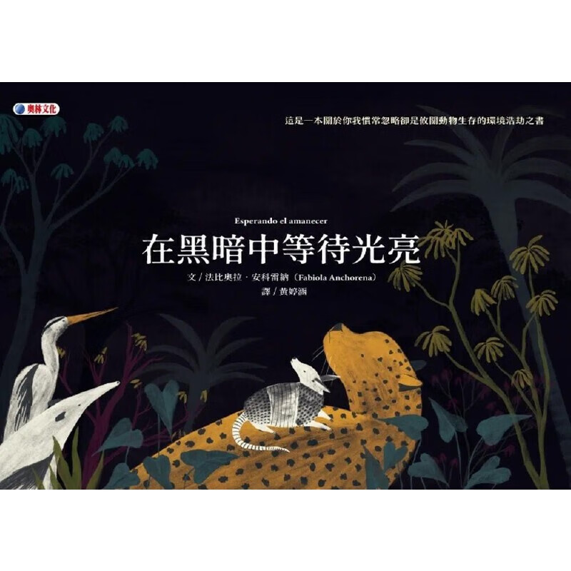 预售 法比奥拉．安科雷纳 在黑暗中等待光亮 奥林