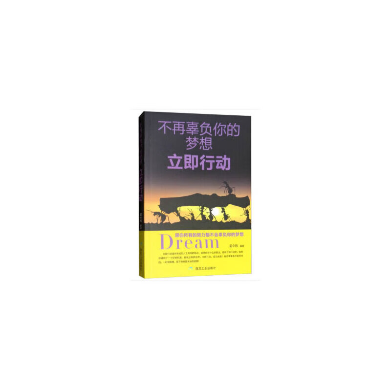 不再辜负你的梦想——立即行动