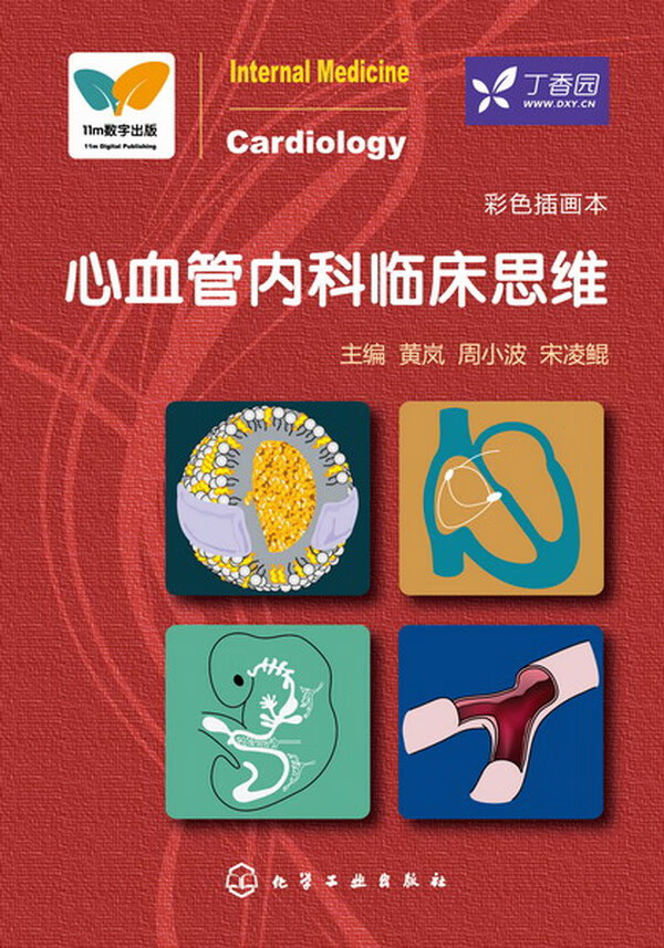心血管内科临床思维 黄岚,周小波,宋凌鲲 黄岚,周小波,宁凌鲲 化学工业出版社 9787122170