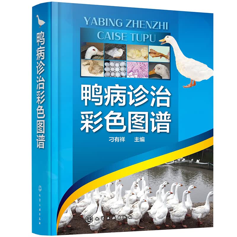 鸭病诊治彩色图谱 鸭病诊断防治及类似疾病鉴别实用指导书 鸭病治疗诊断书籍 鸭病预防书籍
