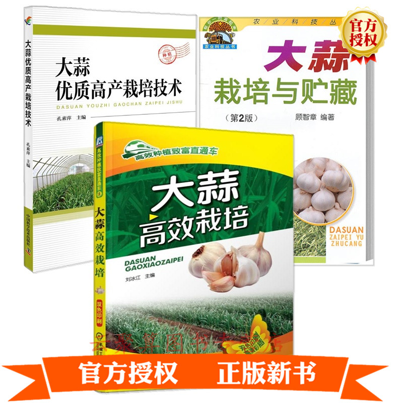 3册 大蒜优质高产栽培技术+大蒜栽培与贮藏+大蒜栽培 蒜苗蒜黄韭黄蒜薹蒜头采收大蒜头种植技术书籍病虫
