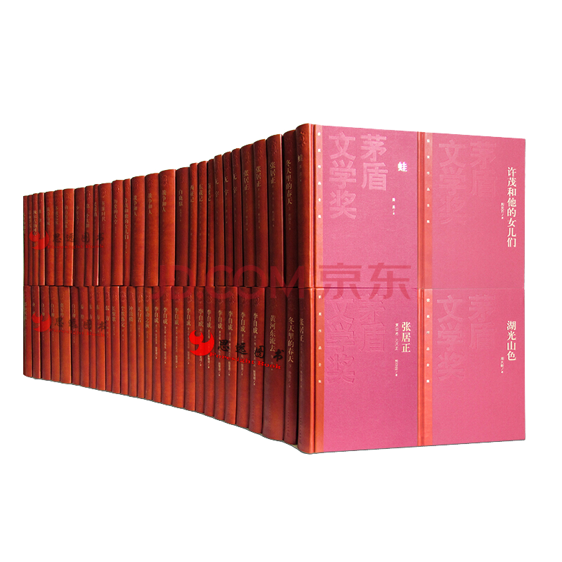 茅盾文学奖获奖作品全集（1-9届）李自成 你在高原 平凡的世界 穆斯林葬礼 蛙 白鹿原 人民文学