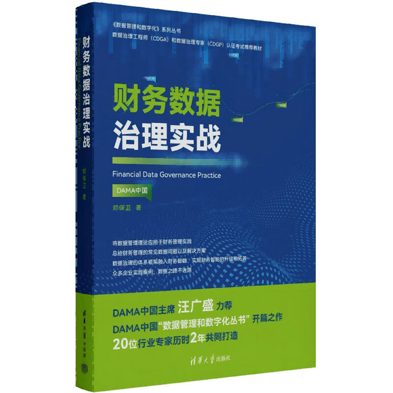 财务数据治理实战 郑保卫 经济/会计、审计
