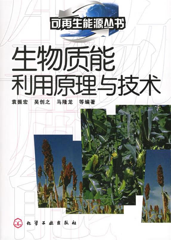 生物质能利用原理与技术