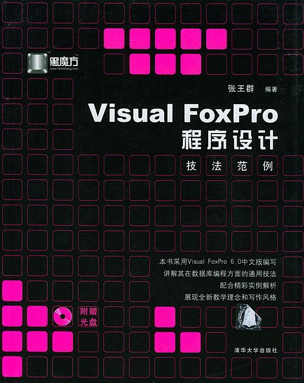 Visual FoxPro程序设计技法范例