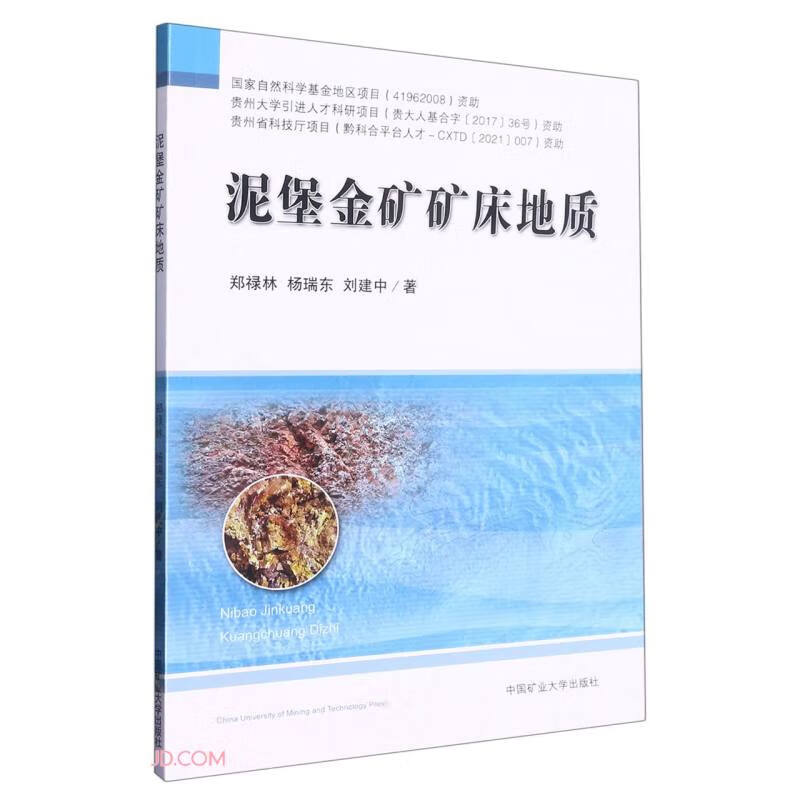 泥堡金矿矿床地质