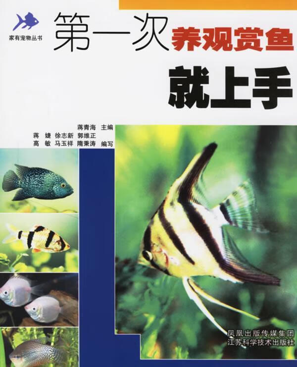 次养观赏鱼就上手 蒋青海