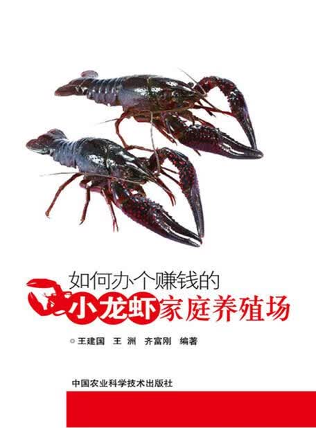 如何办个赚钱的小龙虾家庭养殖场