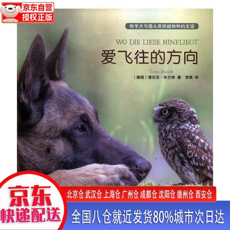 【现货】爱飞往的方向