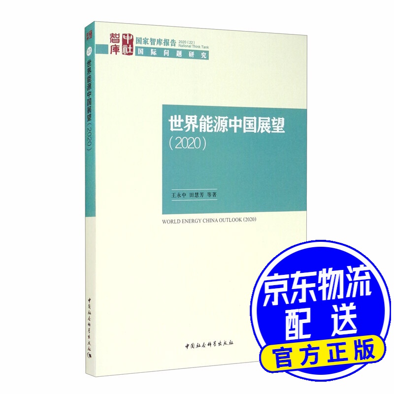 世界能源中国展望（2020）