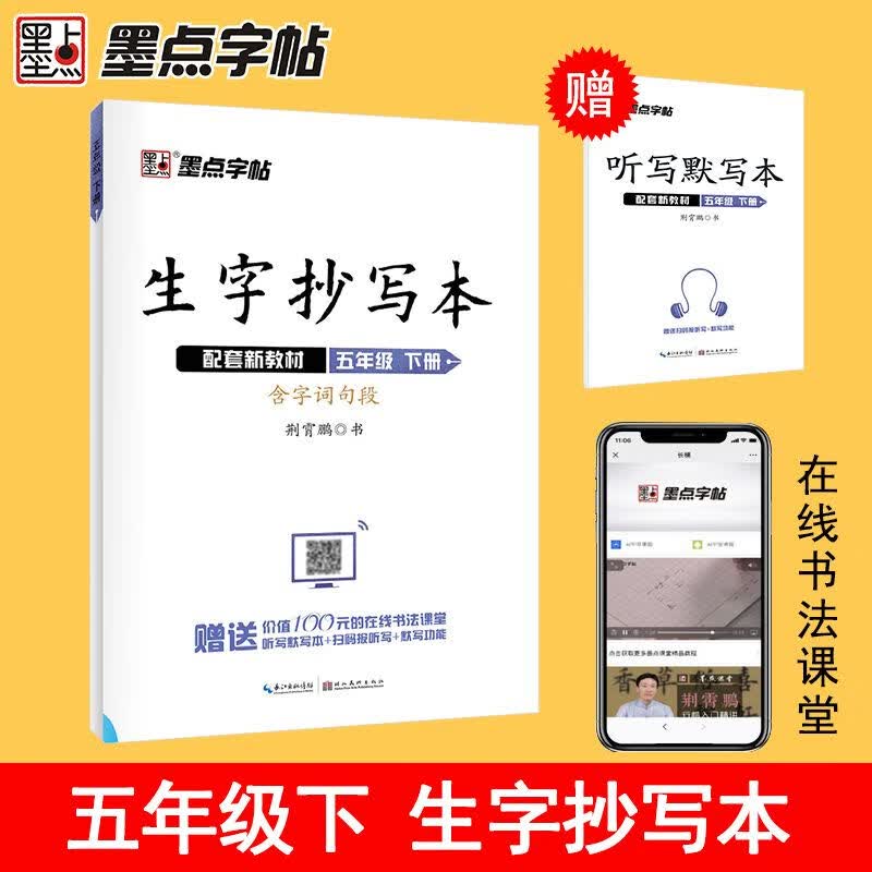 墨点字帖 生字抄写本 五5年级下册 语文 五年级下