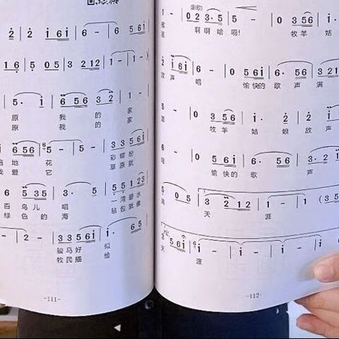 二胡简谱155首 二胡 简谱大字版中老年 胶装