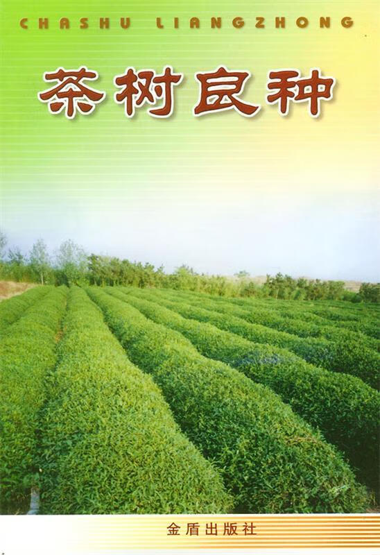 茶树良种