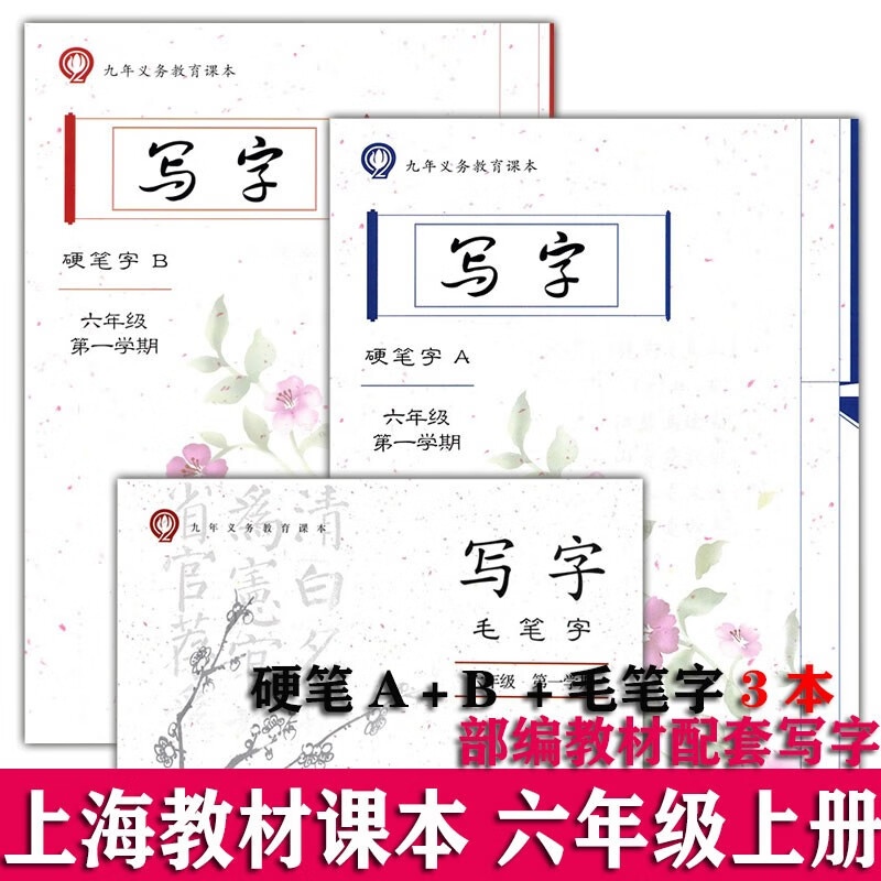 上海初中语文课本配套写字硬笔字A笔字6/六年级第一学期上沪版