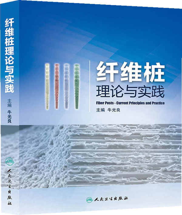 【现货】纤维桩理论与实践牛光良 北方图书城