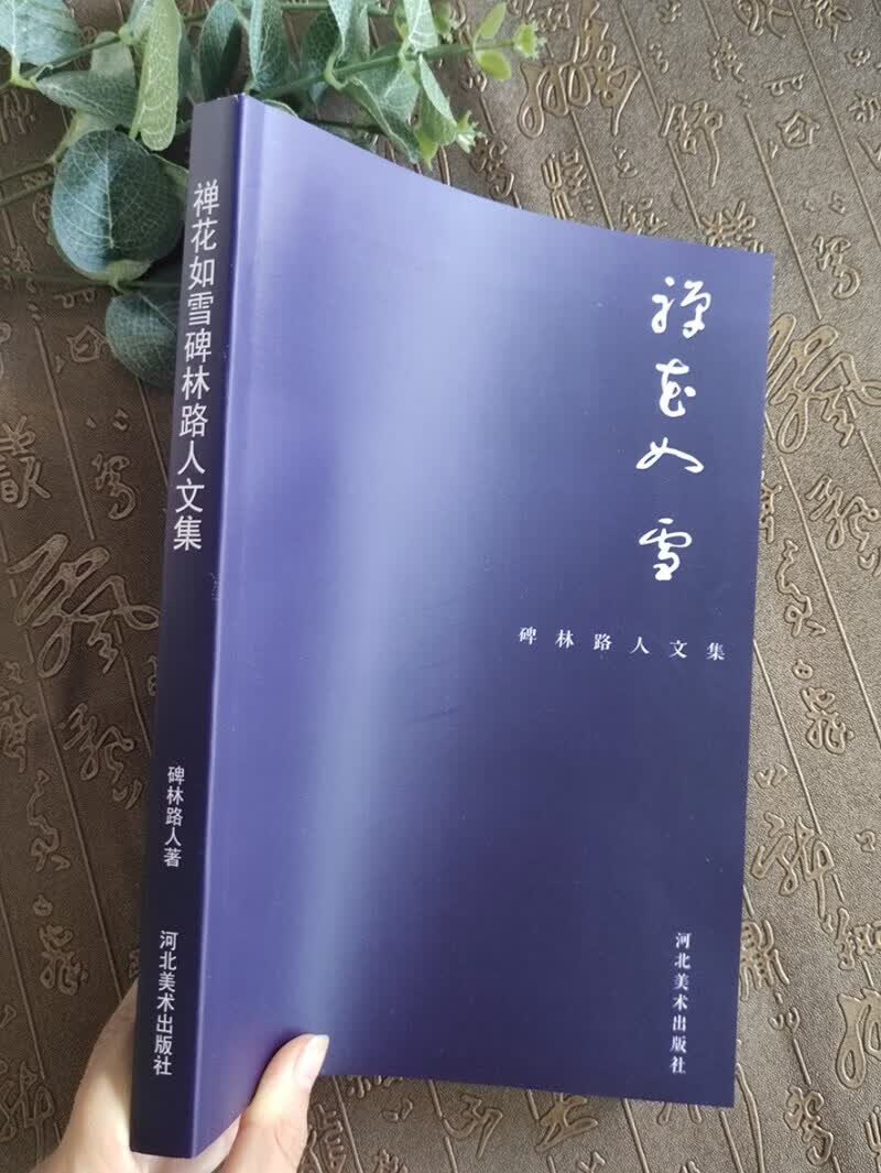 禅花如雪碑林路人文集（沧浪之水)