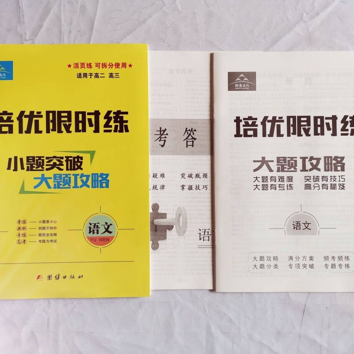 2023新鑫文化 培优限时练 小题突破大题攻略 语文