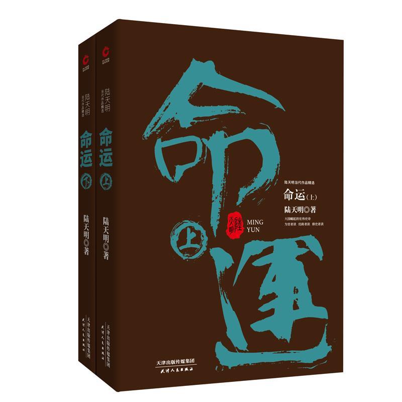 陆天明当代作品精选:命运