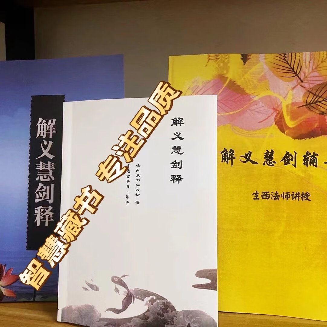 新品 解义慧剑组合 原文讲记辅导 再版高质量 原文讲记辅导