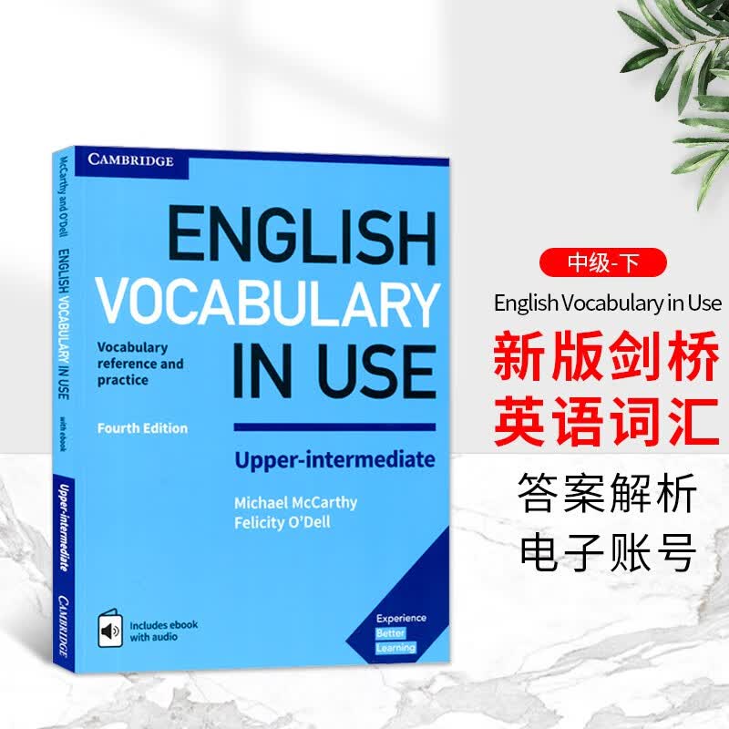 原版进口剑桥英语词汇书 English Vocabulary in Use 中级下 小学初中高中英文英式英语教材大全自学教材工具