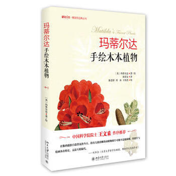 玛蒂尔达手绘木本植物