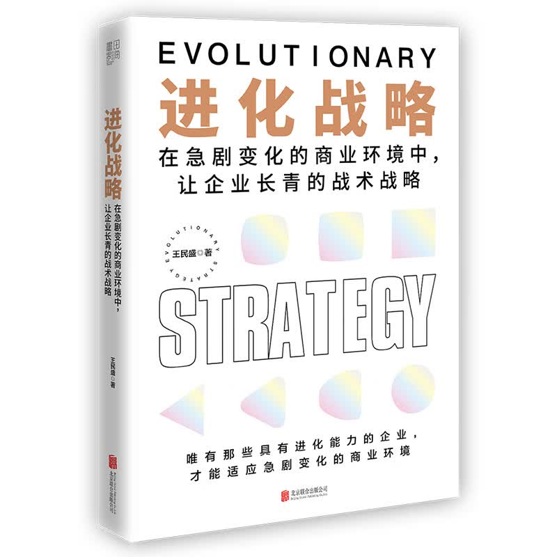 进化战略 王民盛 著 战略管理
