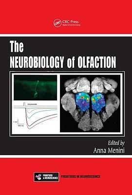 高被引The Neurobiology of Olfaction