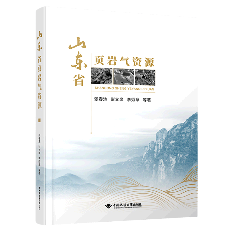 山东省页岩气资源