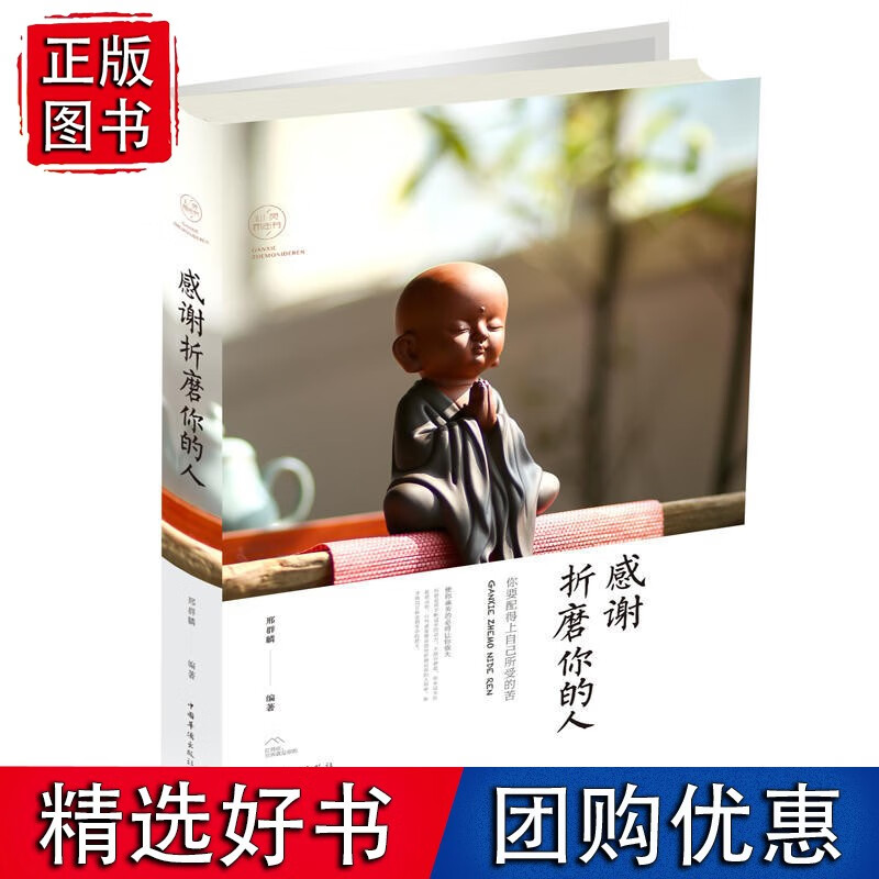 感谢折磨你的人（彩图精装）