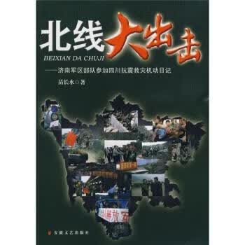 北线大出击 苗长水 著