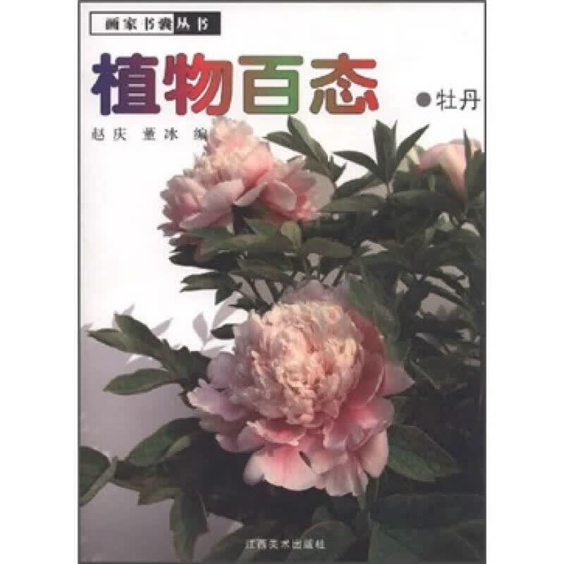 植物百态 牡丹【好书】