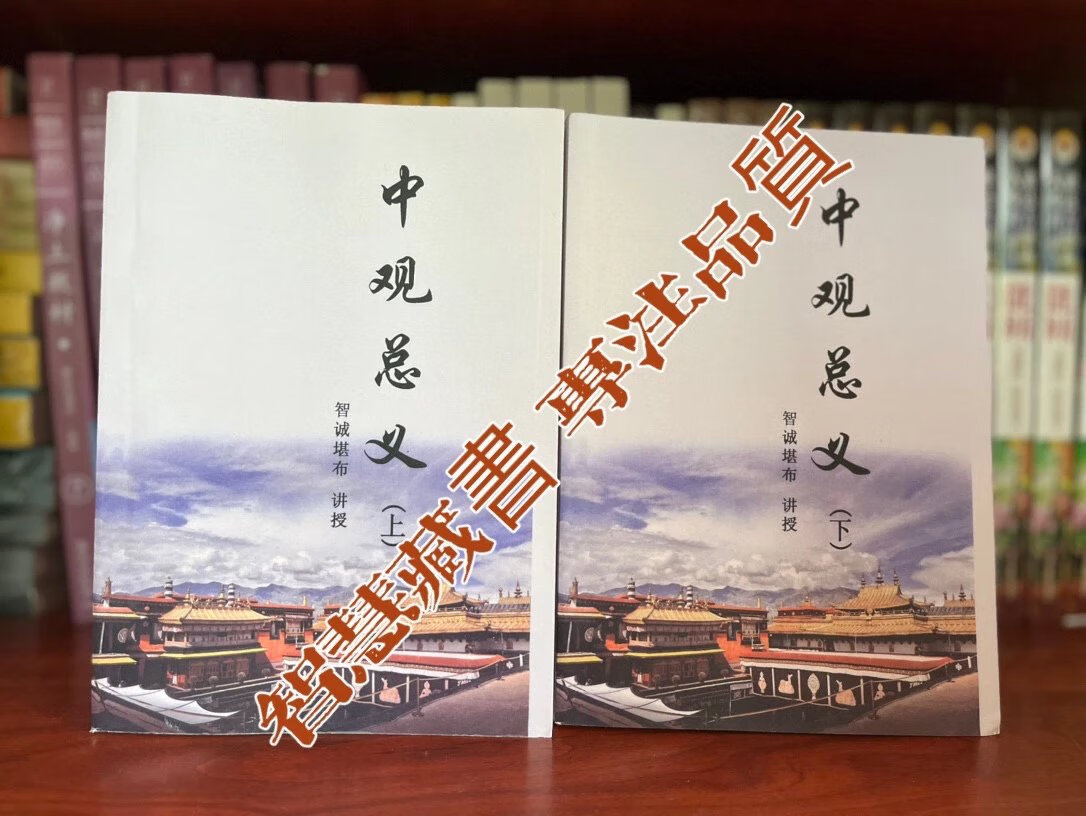 中观总义 上下两册 全套 智诚堪布（生西法师）讲授 高质量版本