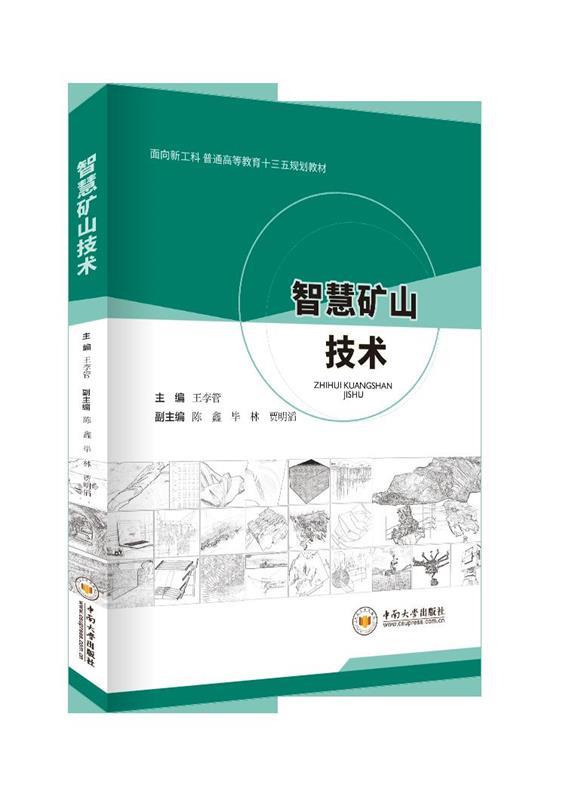智慧矿山技术 王李管【书】