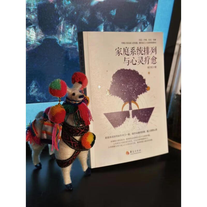 家庭系统排列与心灵疗愈 图书