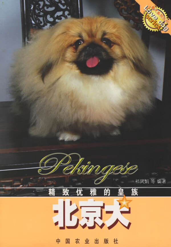精致优雅的皇族 北京犬【特惠】