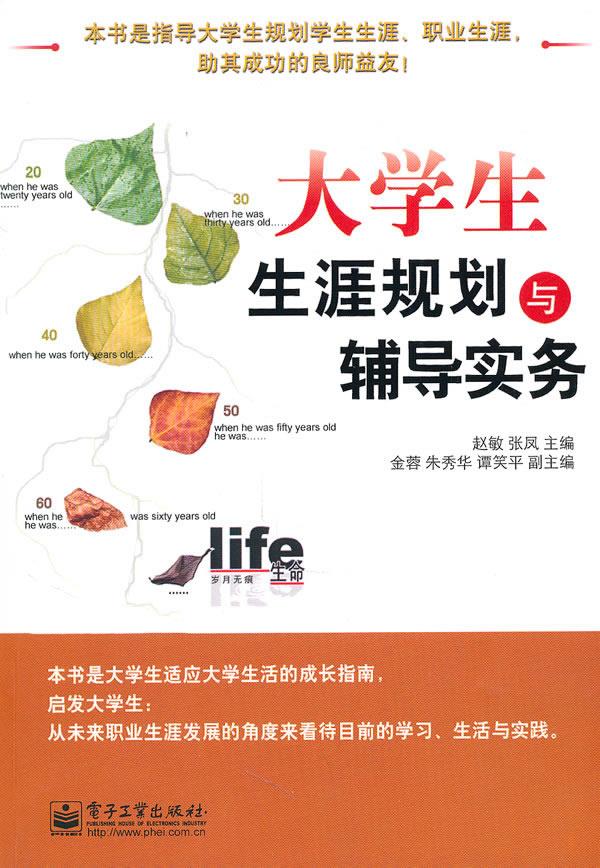 大学生生涯规划与辅导实务