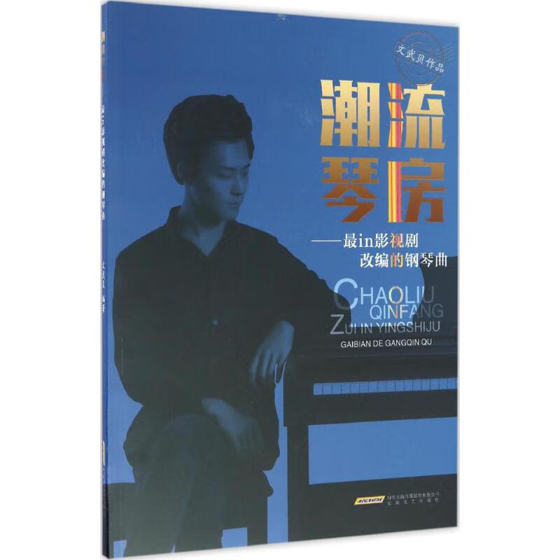 潮流琴房 文武贝 编著 音乐/提琴
