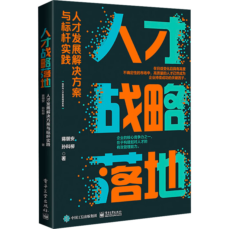 人才战略落地 人才发展解决方案与标杆实践 图书
