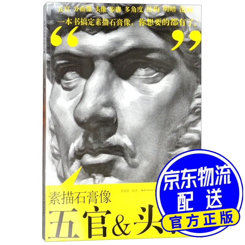 素描石膏像五官&头像