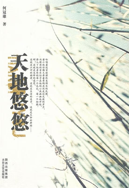 天地悠悠 何冠雄著 太白文艺出版社